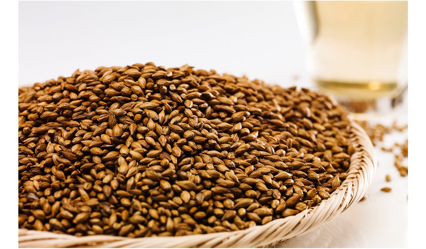 TE DE CEBADA TOSTADA - Semaul